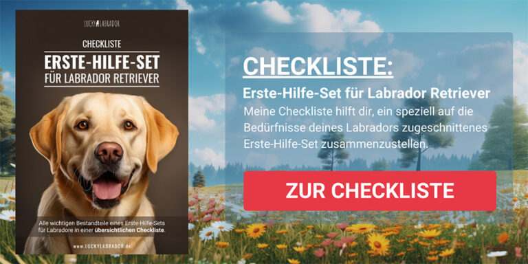 Der ultimative Ratgeber über Labrador Retriever | LUCKY LABRADOR