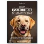 Ratgeber: Typische Krankheiten bei Labrador Retrievern